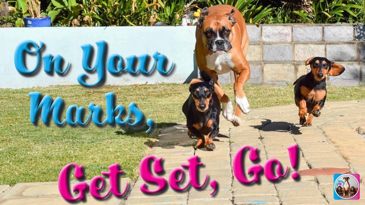 On your marks... get set...GO! - YouTube