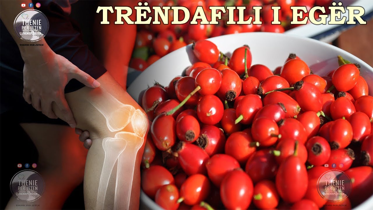 Trëndafili i Egër një mrekulli për shëndetin, ja si ta përdorni për të ...