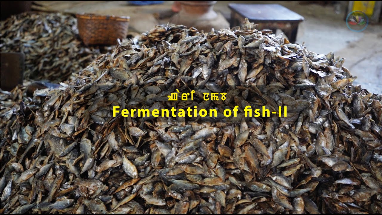 Fermented Fish