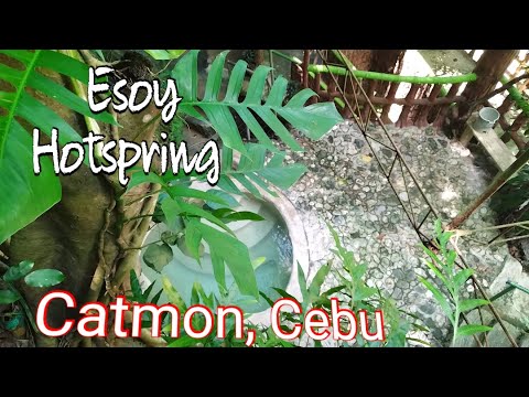 Esoy Hot spring | Catmon, Cebu - YouTube