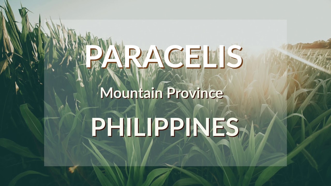 This is Paracelis - YouTube