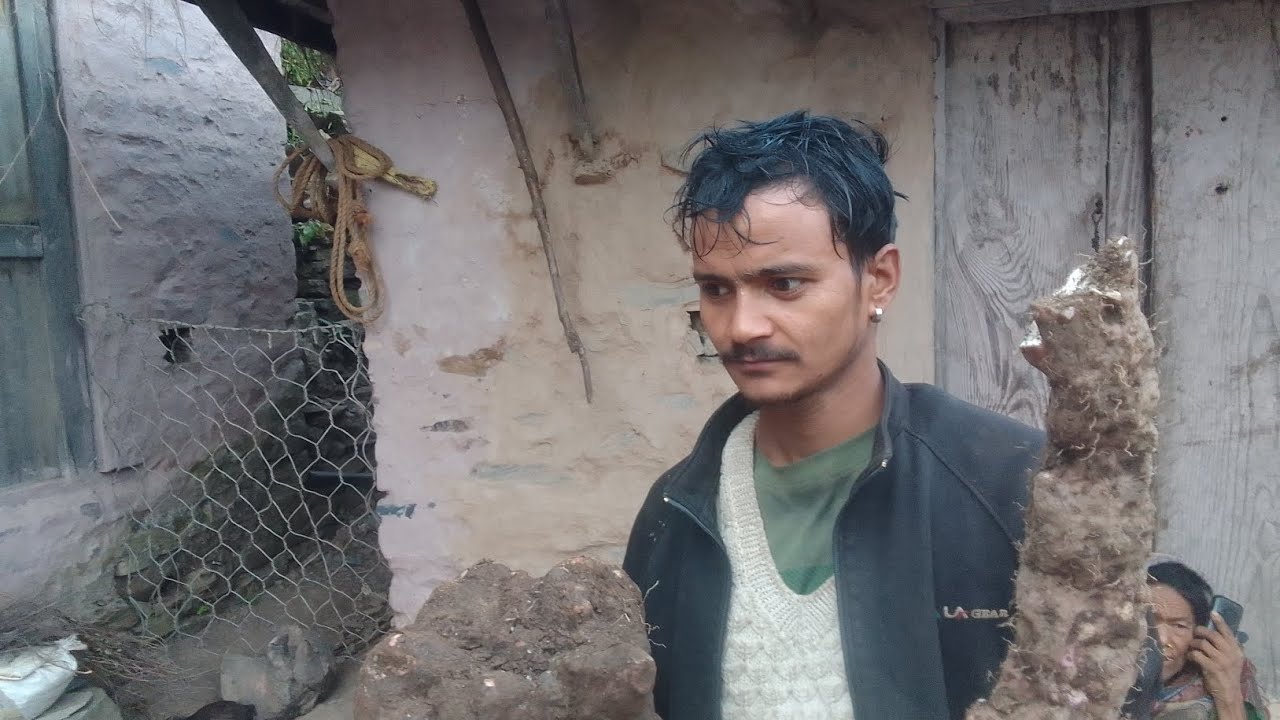 हाम्रो गाउँ तिर पौष १५ यसरी मनाईन्छ ।।Hamro gau tira paush 15 yasari ...