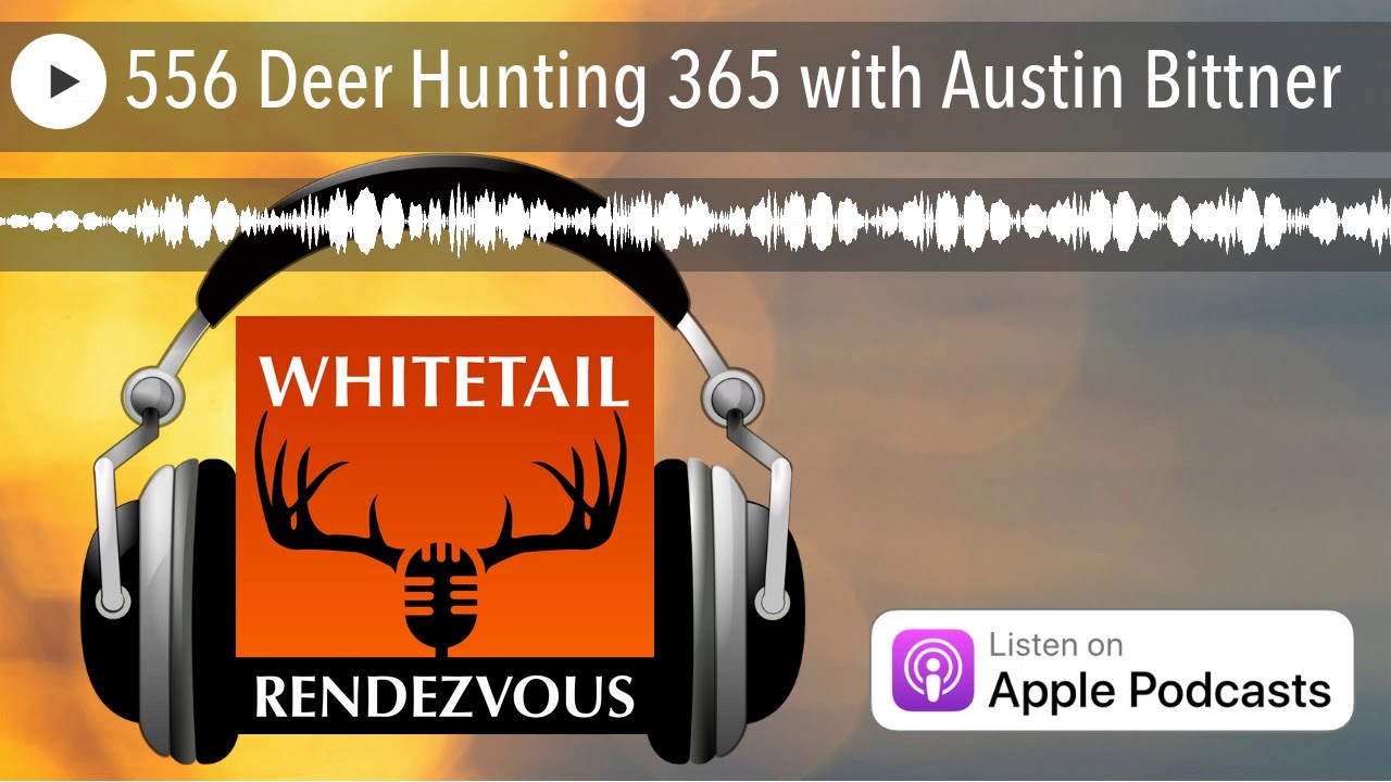 556 Deer Hunting 365 with Austin Bittner - YouTube