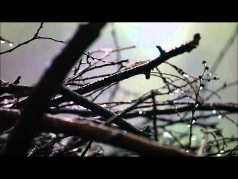 Qaraqan — Yağış