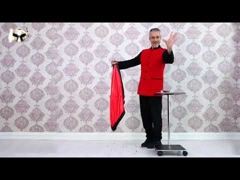 ZEBRA GAME - DAYTONA MAGIC - YouTube