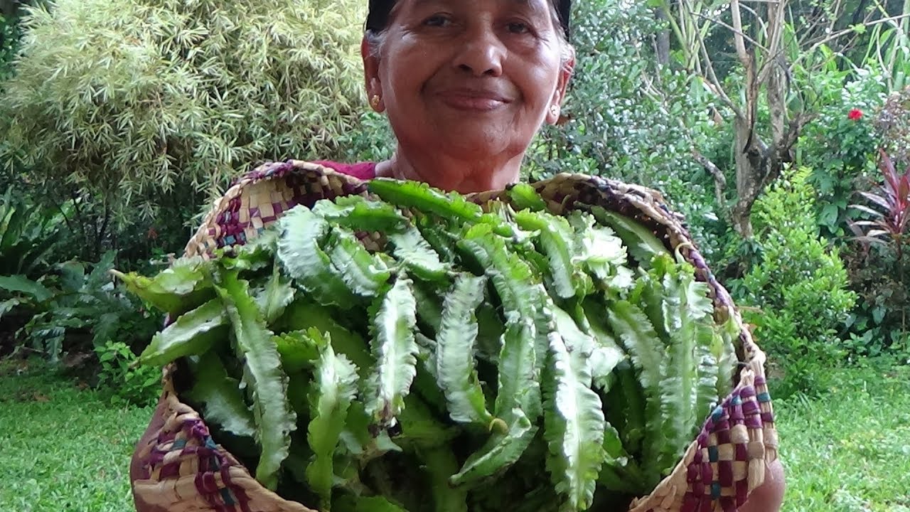 Healthy Village Food / Cooking Winged Beans in my Village by my Mom ...