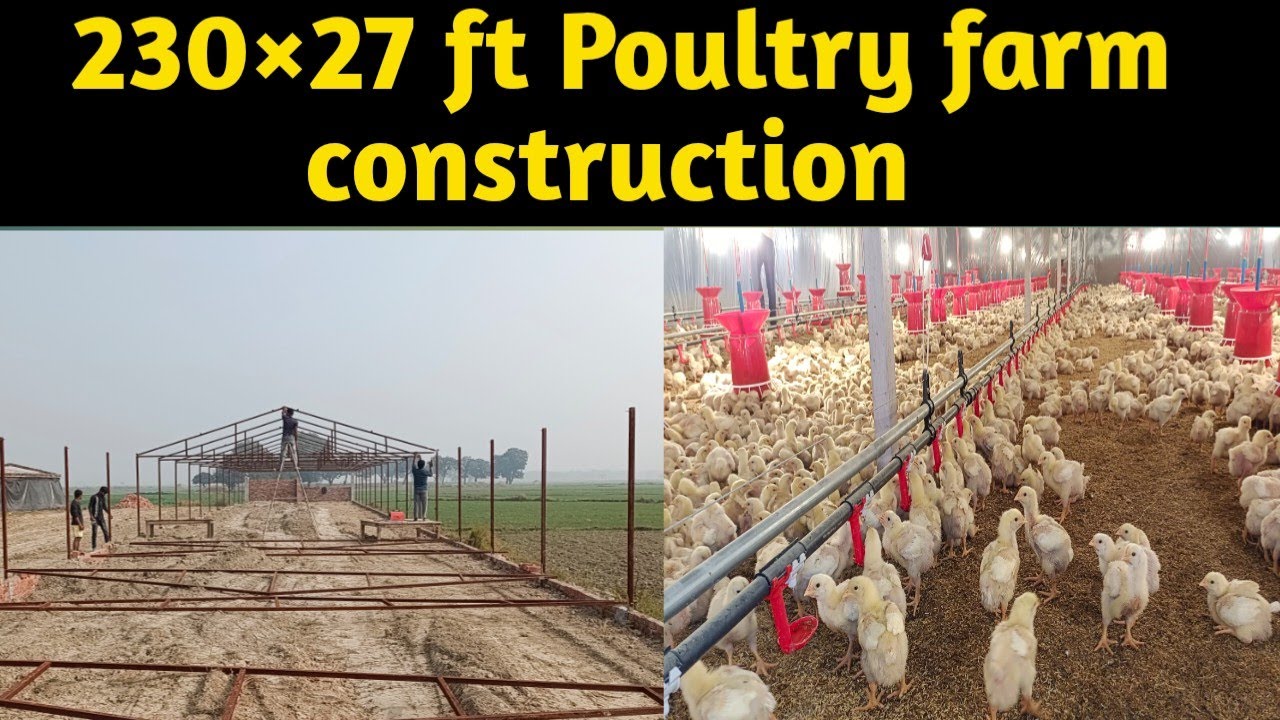 Foundation| side height| Centre height| कितनी होनी चाहिए पोल्ट्री फार्म ...