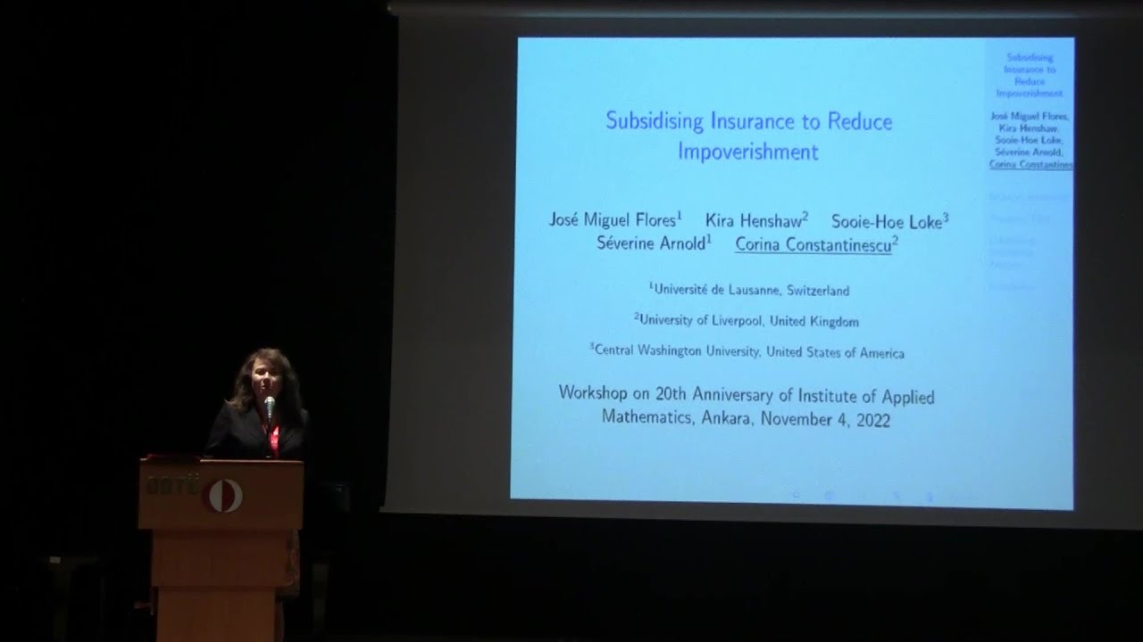 Corina Constantinescu - Workshop on 20th Anniversary of IAM - YouTube