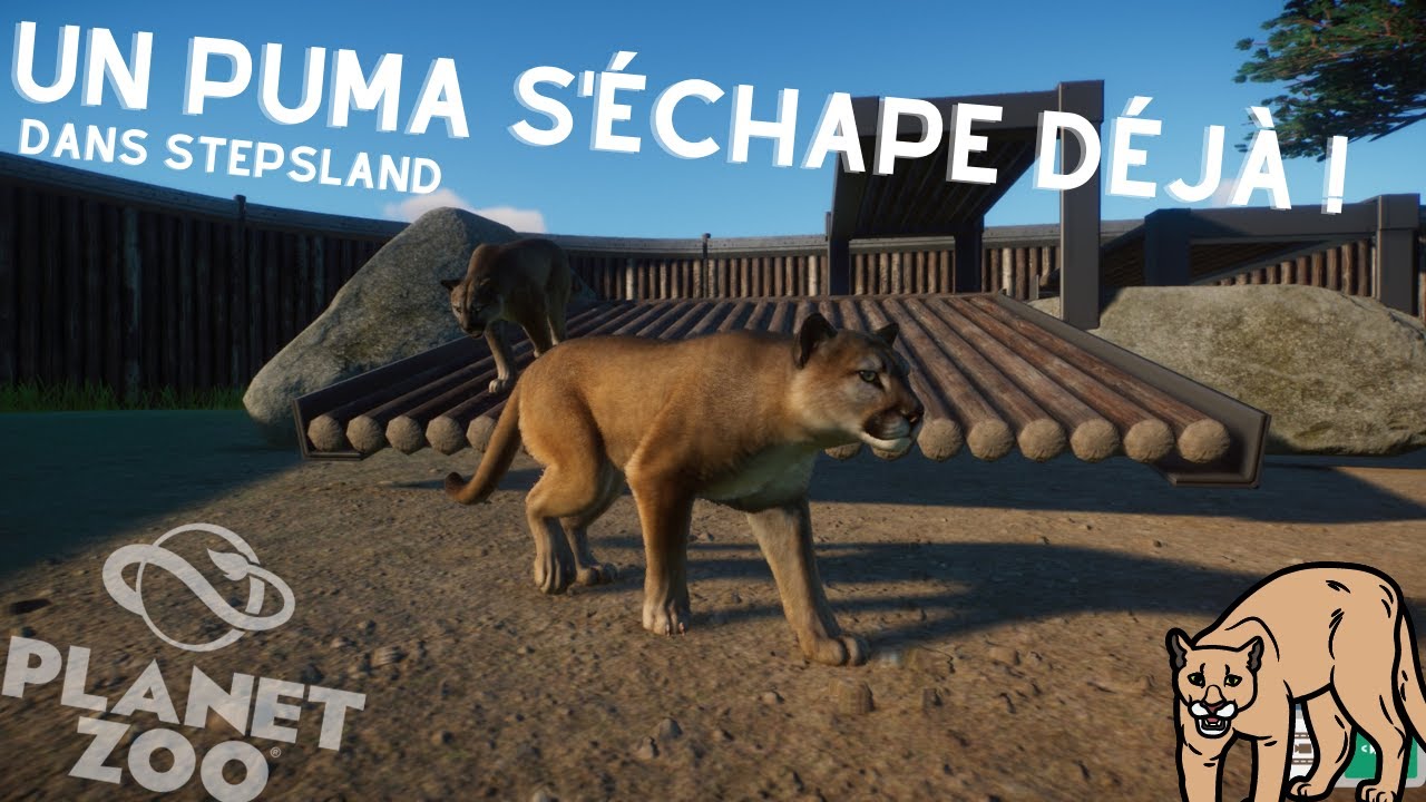 UN PUMA S'ÉCHAPPE DANS STEPSLAND ! Planet Zoo - YouTube