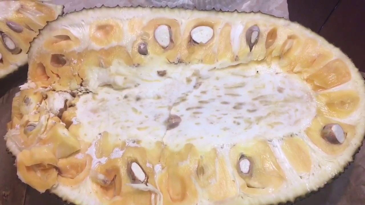 Yaca fruta exótica y semillas - YouTube