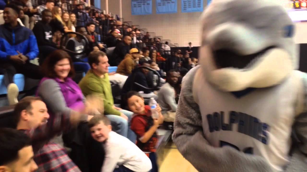 Danny the Dolphin dances with kids - YouTube