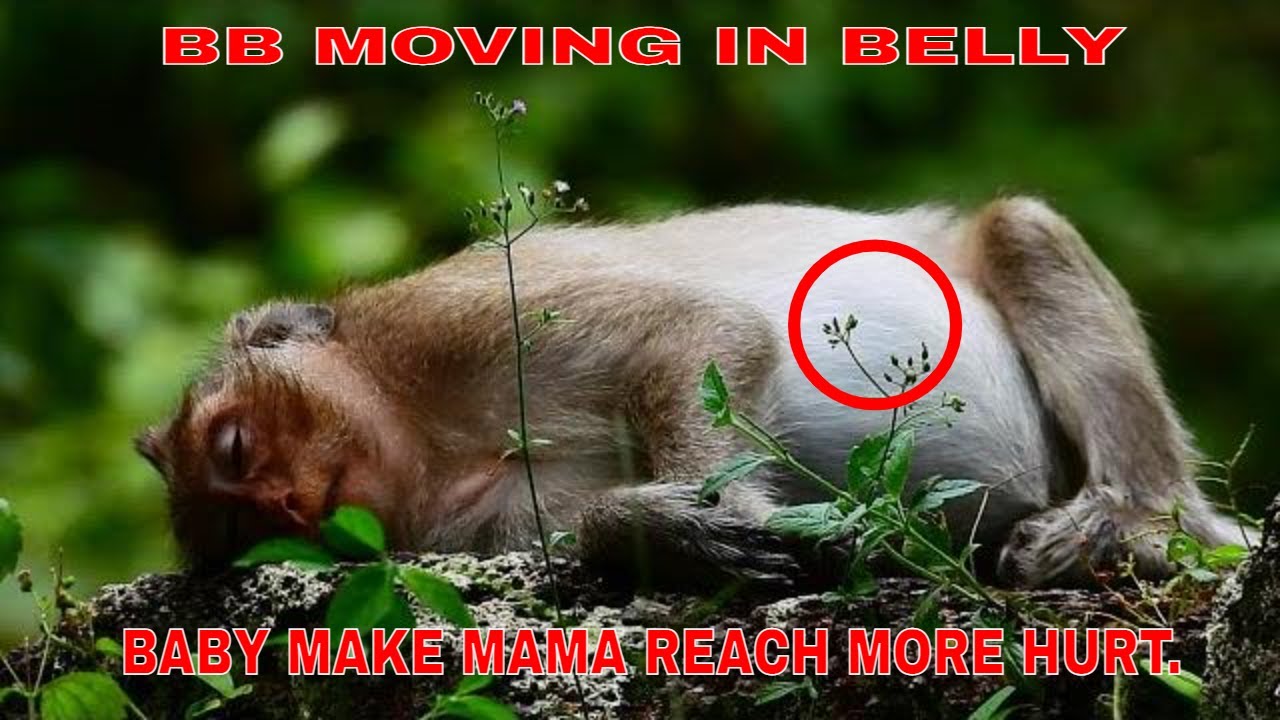 NEW UPDATE MOMMA NANDA. PREGNANT OF NANDA VERY TIRED AND HURT HER BELLY ...