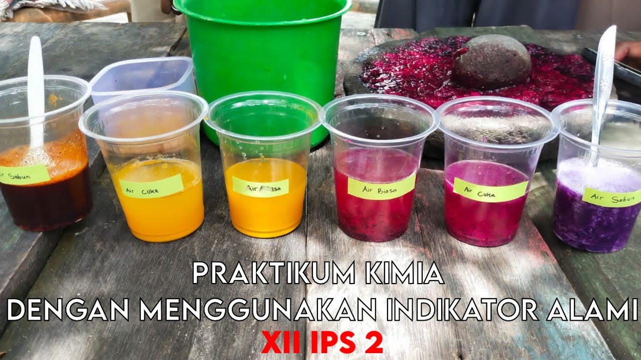 Praktikum Kimia dengan Menggunakan Indikator Alami - YouTube