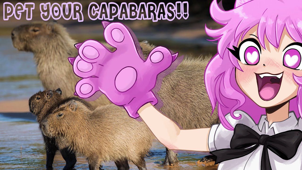 Hasan on CNN, Tesla FSD crash, Cop steals 600k and more! 😻 MORNING MEWS ...