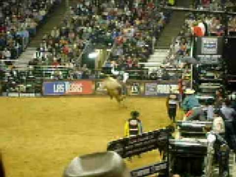Bull Rider-Ross Coleman Wistom Salem NC - YouTube