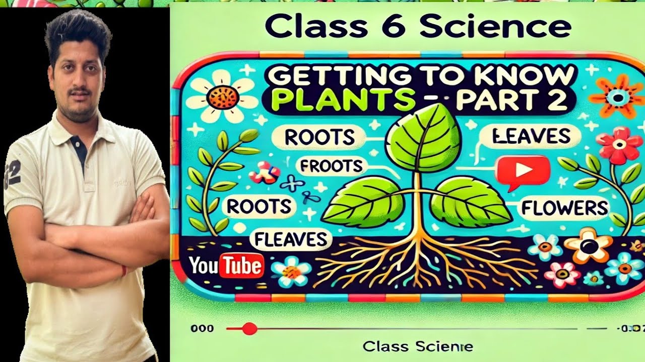 Class-6 // ncert science// getting to know plants - YouTube
