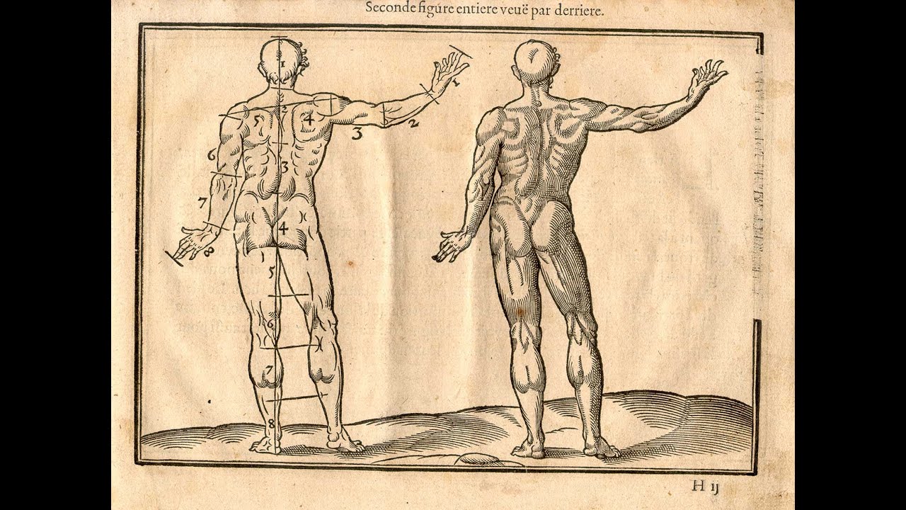 Historical Anatomy Textbooks - Tarihi Anatomi Kitapları PART 2 - YouTube