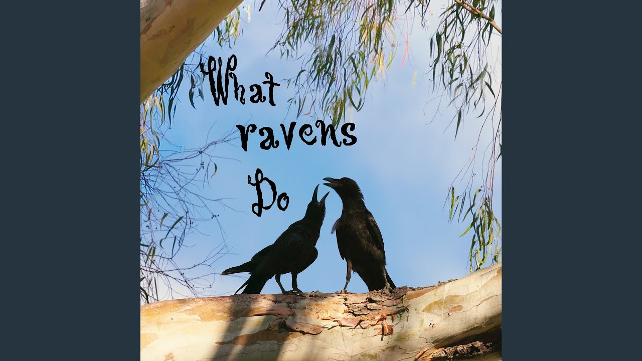 Four Raven Babies - YouTube