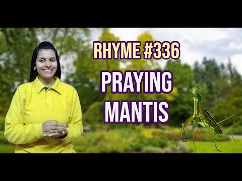 Rhyme 336 | Praying Mantis | English Rhyme for Kids - YouTube