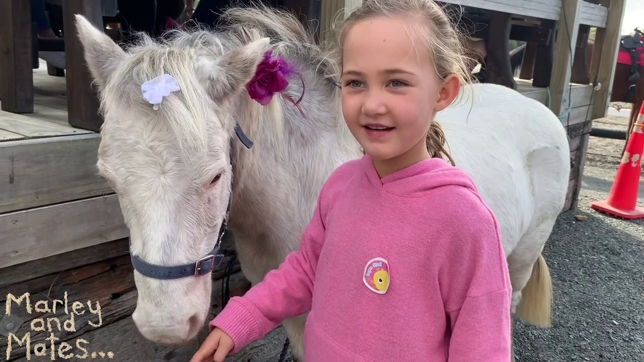 Marley and Mates Go Horse Riding - YouTube