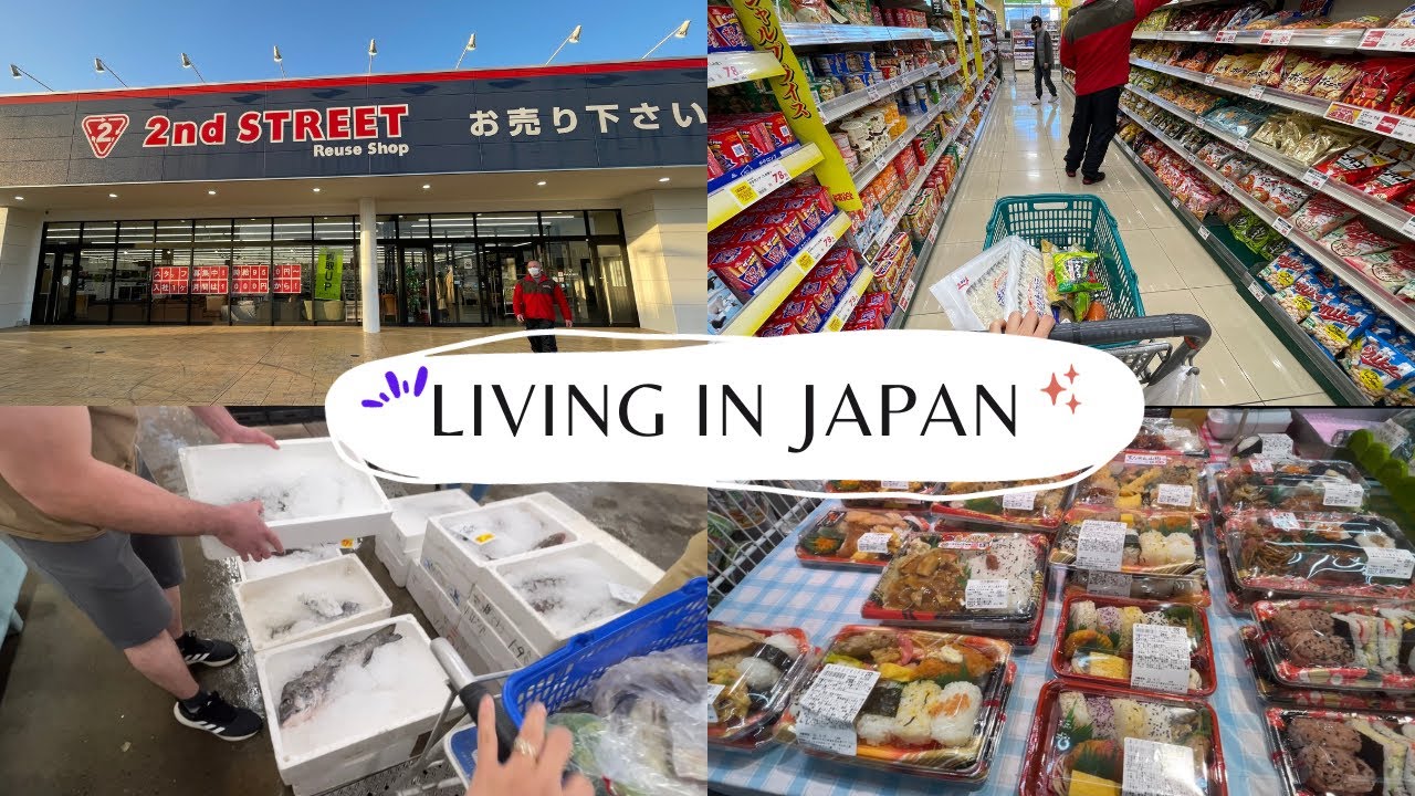 Life in Japan• Grocery Shopping•Dropping by at 2nd Store - YouTube
