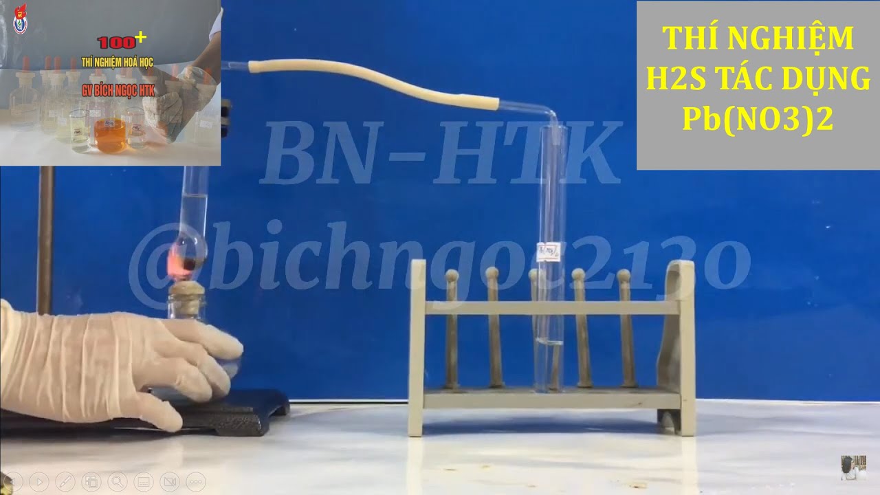 H2S TÁC DỤNG Pb(NO3)2 #hoacobichngoc #thinghiemhoahoc #kettua #h2S ...