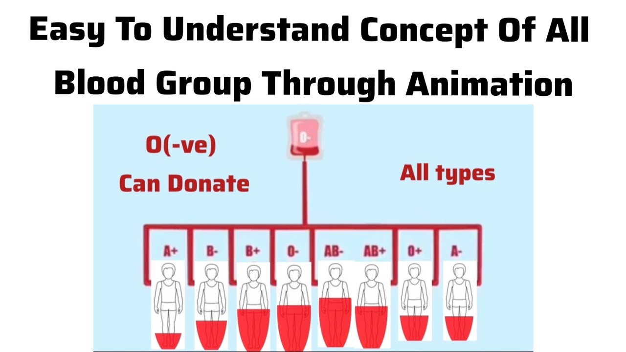 Easy To Understand Concept Of All Blood Group Through Animation🩸 ...