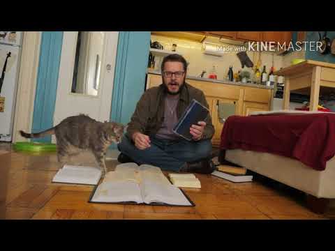 cat not walking on the Quran PROOF