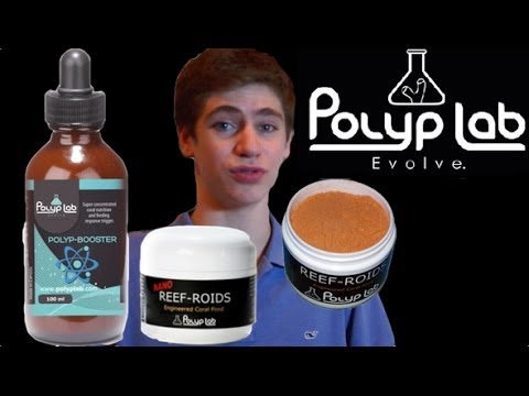 Polyp Booster and Reef Roids by Polyp Lab - YouTube