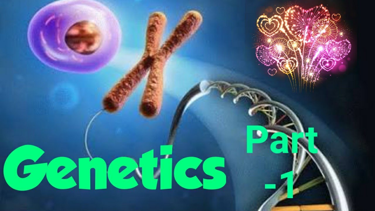 Genetics part 1 Simple Terminology make genetics easy - YouTube