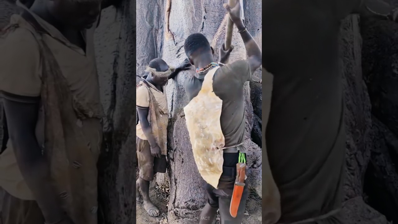 Tribal Secret – Tree Bark Wine for Peaceful Sleep | Amazing Tribal ...