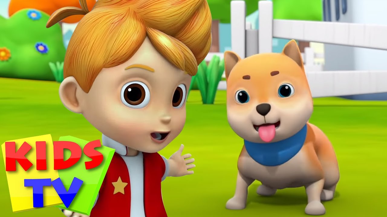 Bingo el perro | Música para niños | Kids TV Español Latino | Dibujos ...