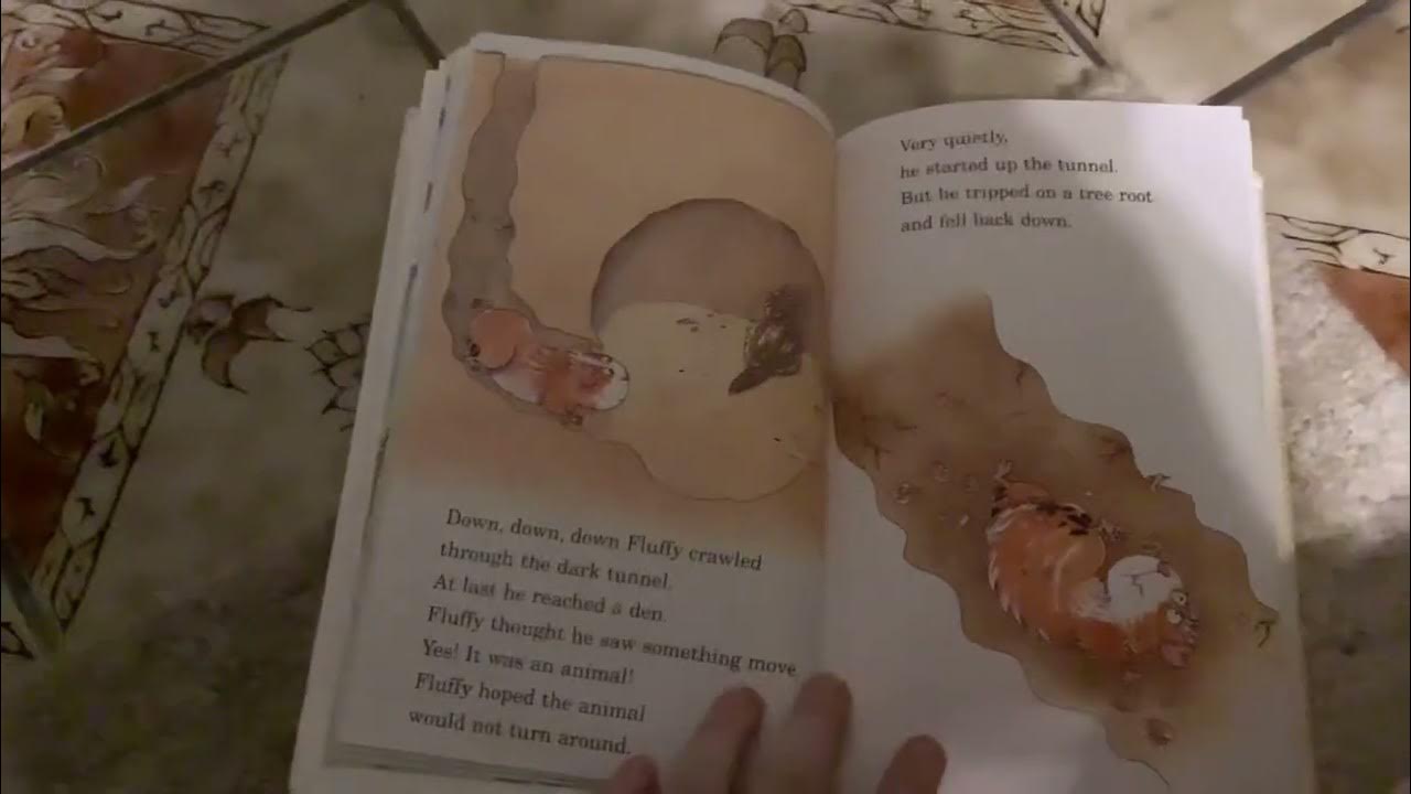 Special Storytime: Fluffy Meets the Groundhog (Groundhog Day 2022 ...