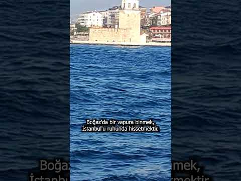 ⛴️ Boğaz’da Vapur Keyfi! 🌊 İstanbul'u Ruhunda Hissetmek... #shorts