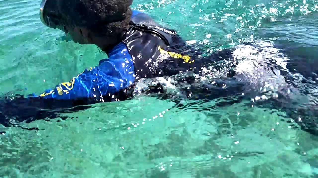 Diving at Murray Island - YouTube