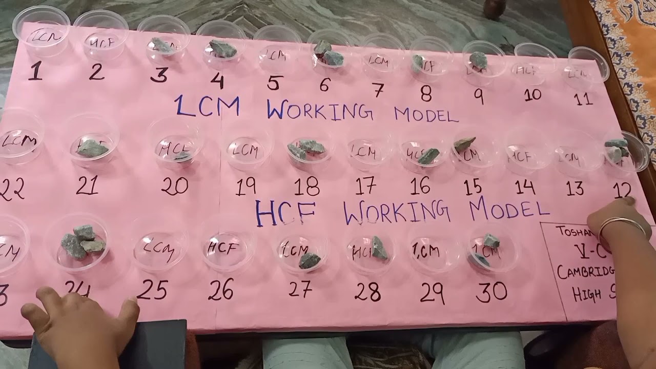 Working model of LCM and HCF - YouTube