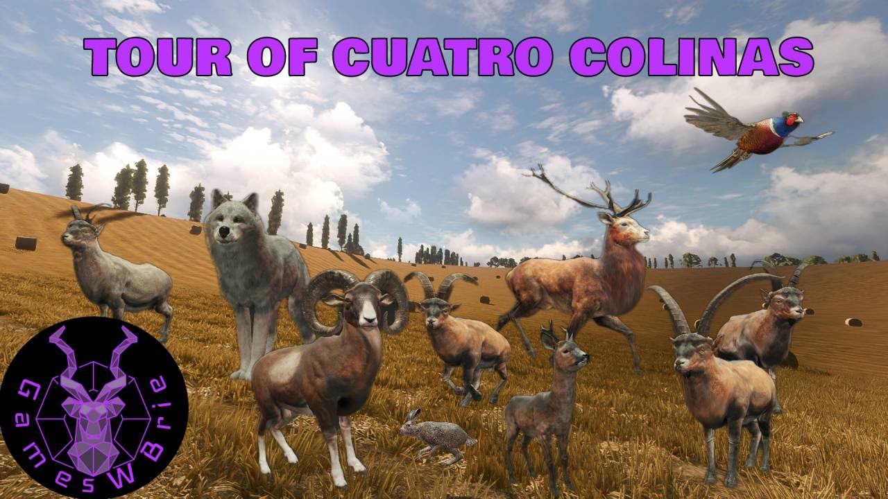 The Cuatro Colinas Collection! - YouTube
