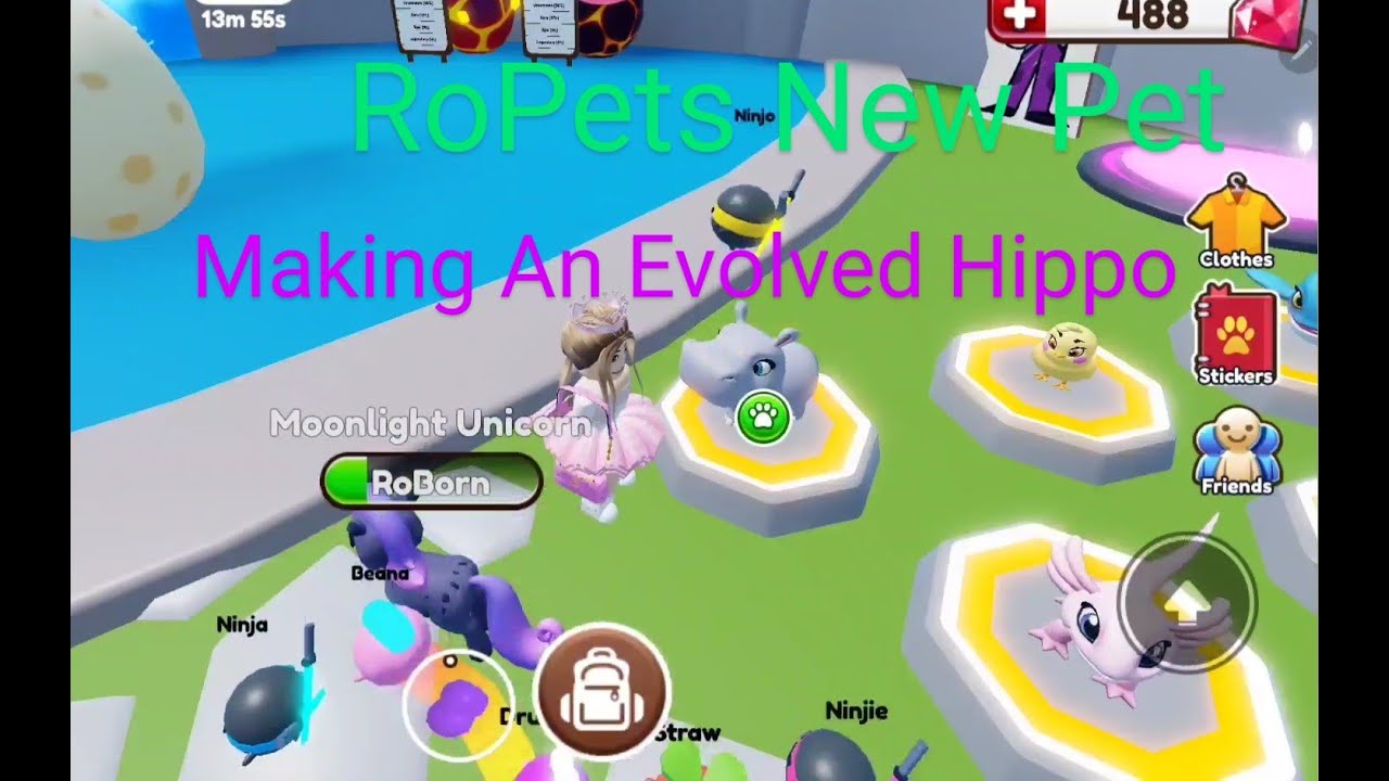 Roblox RoPets Update! New Hippo Pet & Making An Evolved Hippo! - YouTube