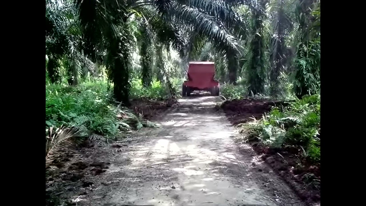 JANJANG KOSONG SAWIT, MEKANISASI PEMUPUKAN KEBUN SAWIT | EMPTY BUNCH ...