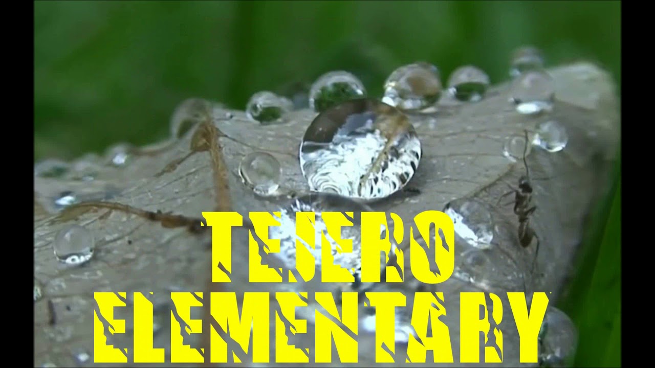 GET READY FOR SCIENCE CAMP! - YouTube