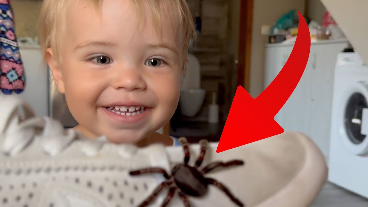 Baby Reacts To a Huge Spider - YouTube