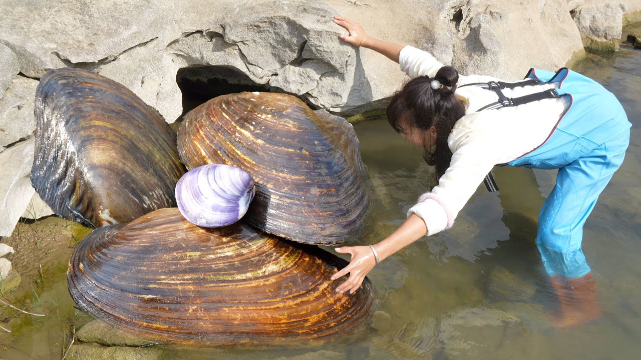 💋Magical fate, beautiful women dancing with clams, embracing the beauty ...