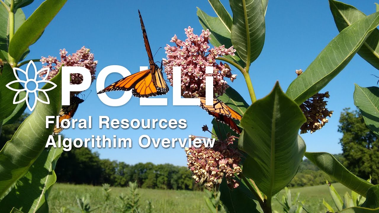 Right-of-Way Vegetation Monitoring - YouTube