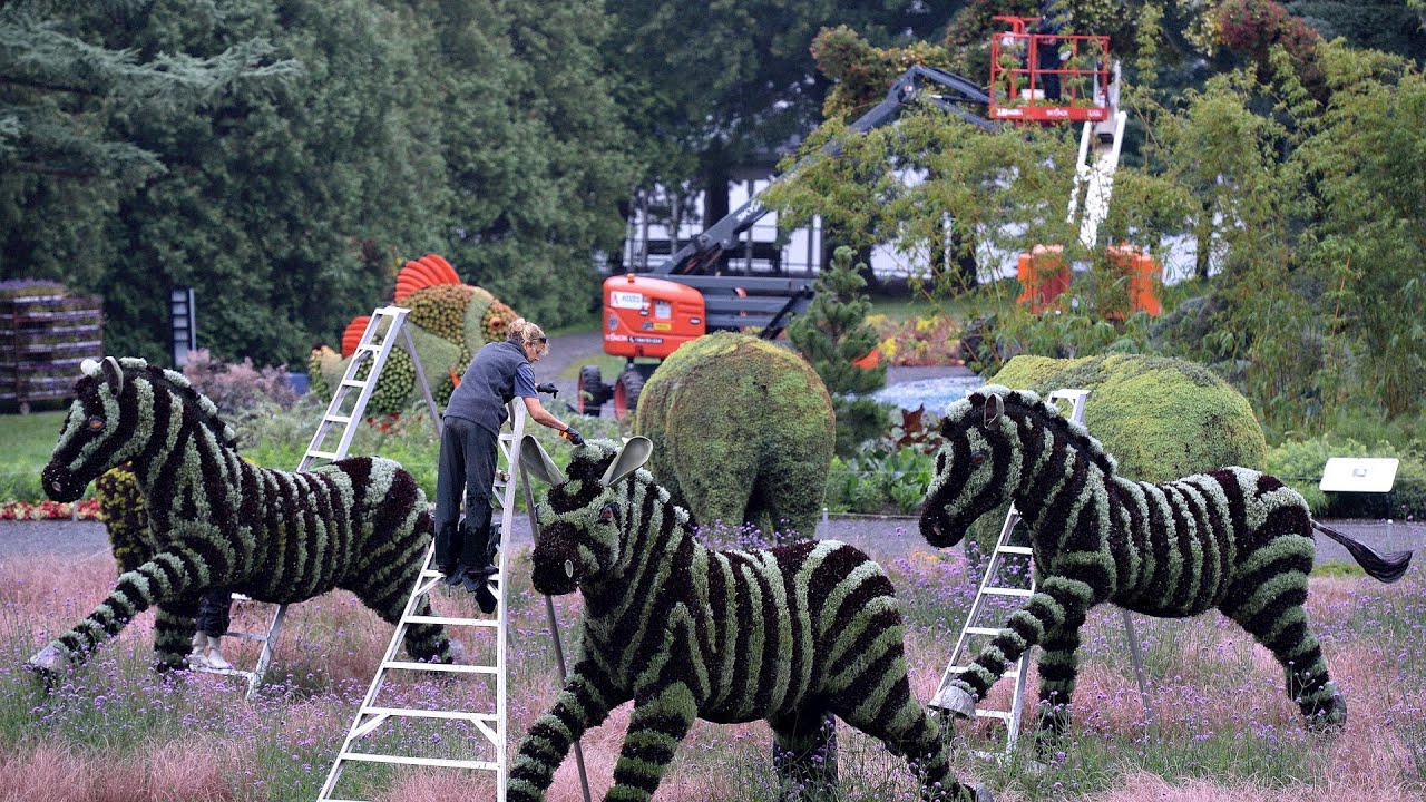 Dans les coulisses des Mosaïcultures - YouTube