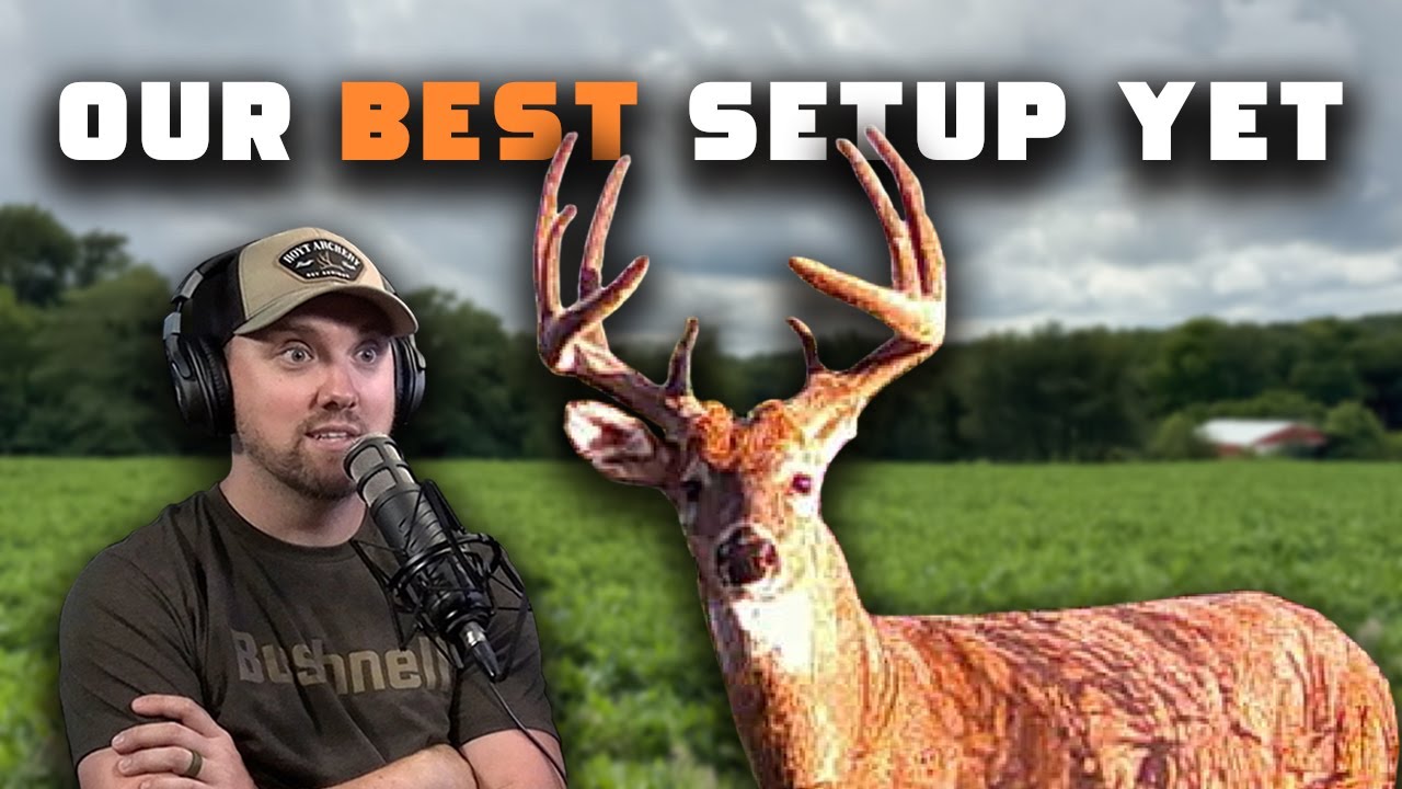 What Every Deer Hunting Property NEEDS Before October | Farm Companion ...