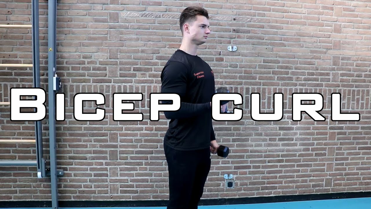 Bicep curl - ACLO fitness - YouTube