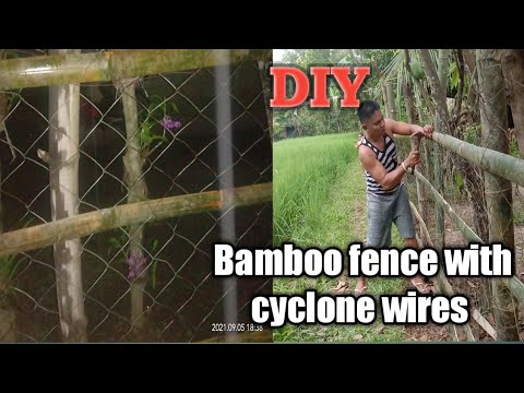 ,Bamboo fence with cyclone wires (DIY) Buddy Channel - YouTube