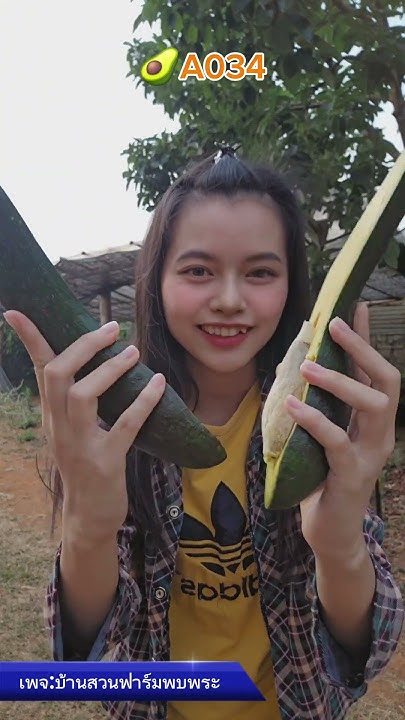 รีวิว 034 อะโวคาโดเวียดนาม #อะโวคาโด #ต้นกล้า #A034 #ทำสวน #เกษตรกร - YouTube