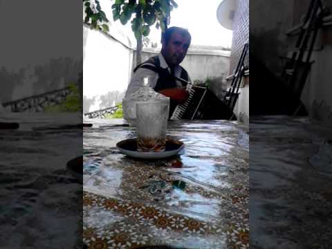 ucarli aslan qarmon ustadi