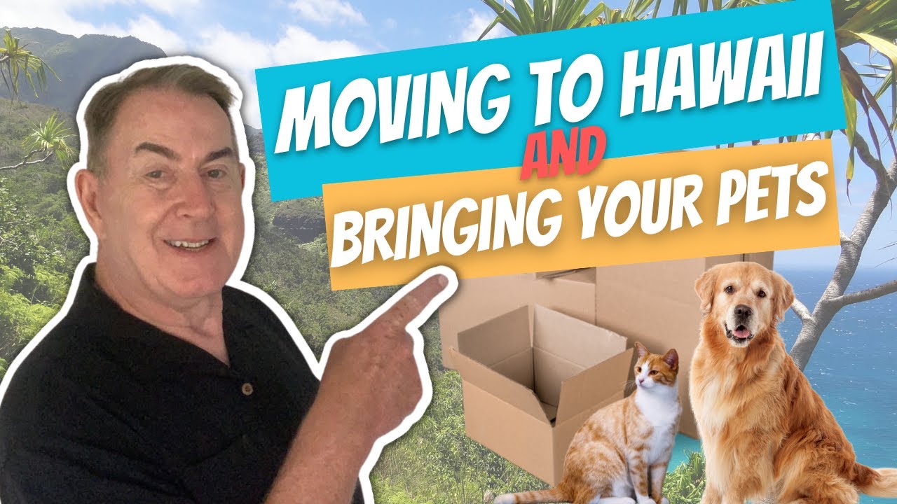 MOVING to Hawaii With PETS on the BIG ISLAND - YouTube